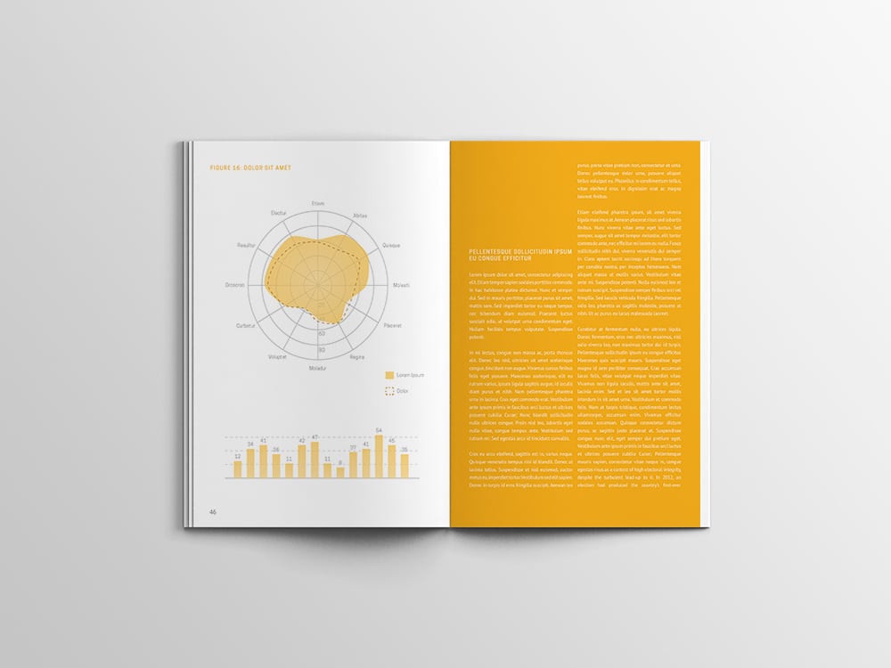 Infographic Report Design Case Study- Datalabs